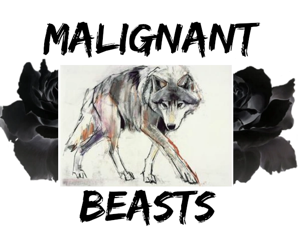 User blog:Mavisdawerewolf/hey | Animal Groups Roleplay Wiki | Fandom