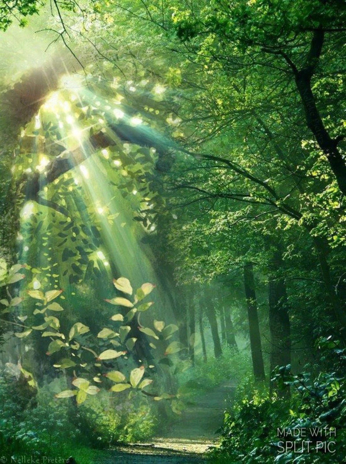 User blog:Imnotcrazytoday/OC Page | Animal Groups Roleplay Wiki | Fandom