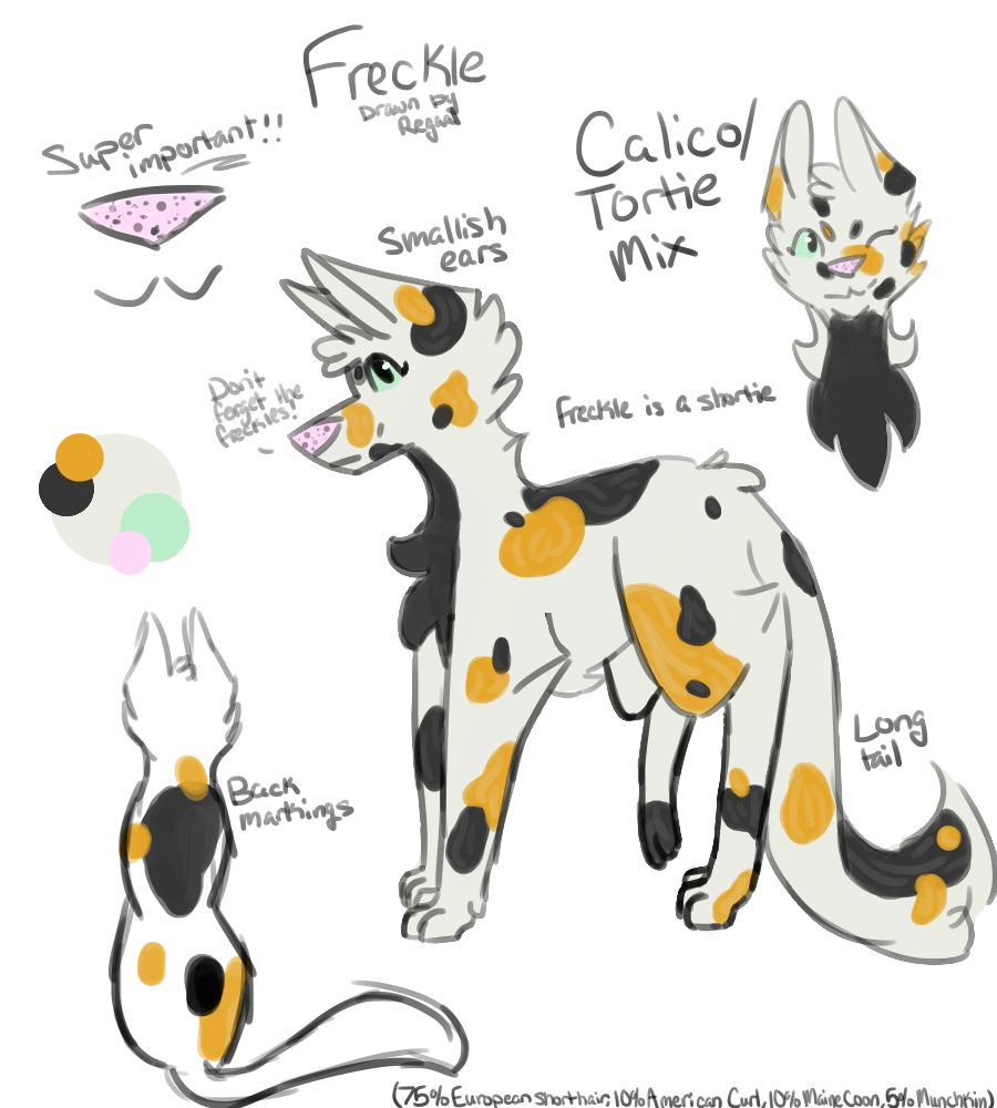 User blog:Queen Snowbarry/Frecklekit OC Page | Animal Groups Roleplay ...