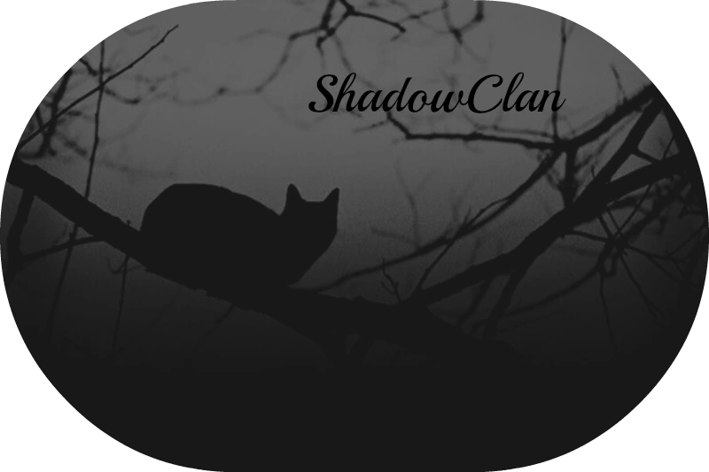 User blog:KatMeowz/ShadowClan new layout (lots of work) | Animal Groups ...
