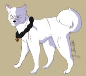 Gou | Animal Groups Roleplay Wiki | Fandom