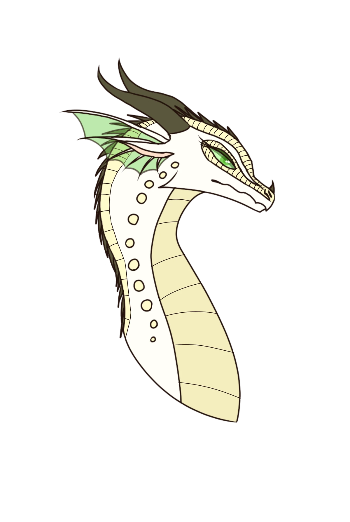 User blog:Fyrestørm/Oleander | Animal Groups Roleplay Wiki | Fandom