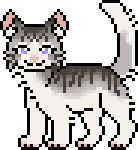 User blog:Averna Vaelan/Ferretthyme | Animal Groups Roleplay Wiki | Fandom