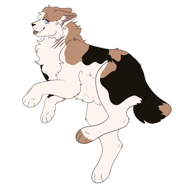 User blog:Xfetch65x/AYo | Animal Groups Roleplay Wiki | Fandom