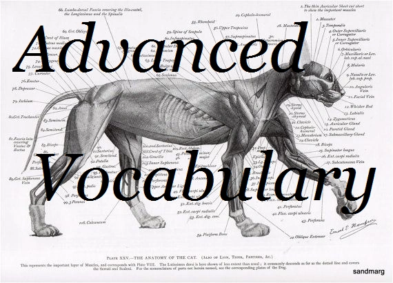 Advanced Vocabulary | Animal Groups Roleplay Wiki | Fandom