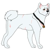 Gou | Animal Groups Roleplay Wiki | Fandom