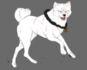 Gou | Animal Groups Roleplay Wiki | Fandom