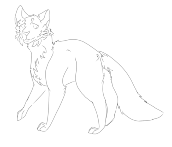 User blog:Graciøus/f2u bases | Animal Groups Roleplay Wiki | Fandom