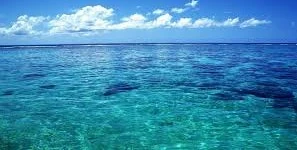 User blog:XxDaisystarxX/F2U Format 1 | Animal Groups Roleplay Wiki | Fandom