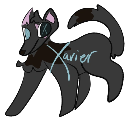 User blog:X*Xavier*X/XXX | Animal Groups Roleplay Wiki | Fandom