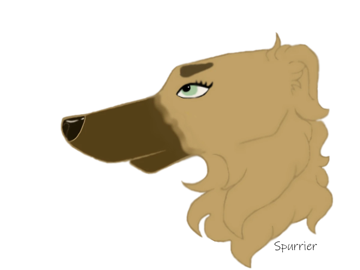 User blog:Spurrier/Dinah | Animal Groups Roleplay Wiki | Fandom