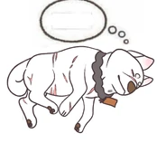 Gou | Animal Groups Roleplay Wiki | Fandom