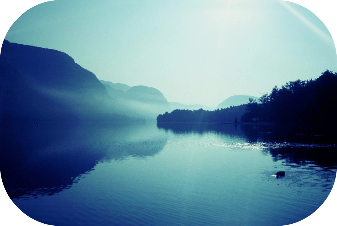 User blog:Neøn Colors/Extra | Animal Groups Roleplay Wiki | Fandom