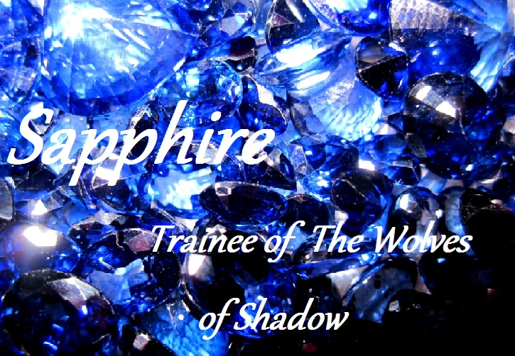 User blog:Dangerous1packing1peanuts/Sapphire | Animal Groups Roleplay ...