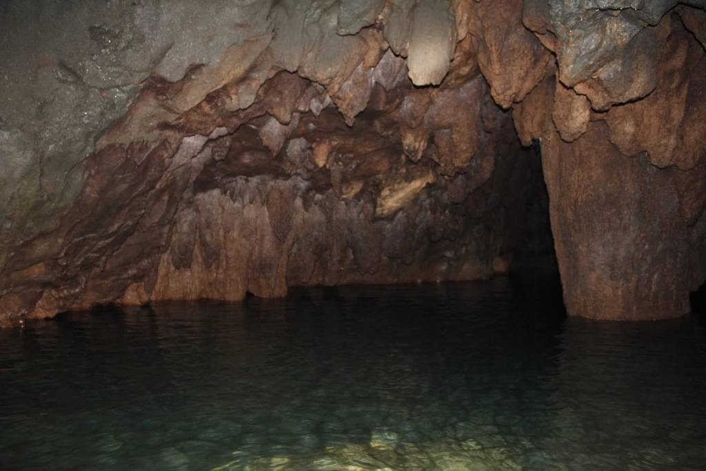 User blog:BandagedFrosting/OC Format 1.0 | Animal Groups Roleplay Wiki ...