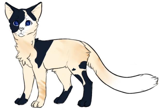 User blog:JuniperTheSkyWing/every oc ever | Animal Groups Roleplay Wiki ...