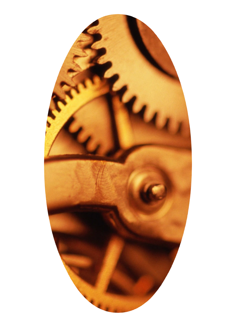 User blog:Zion IWH/Clockwork | Animal Groups Roleplay Wiki | Fandom