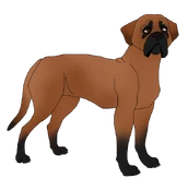 Gou | Animal Groups Roleplay Wiki | Fandom