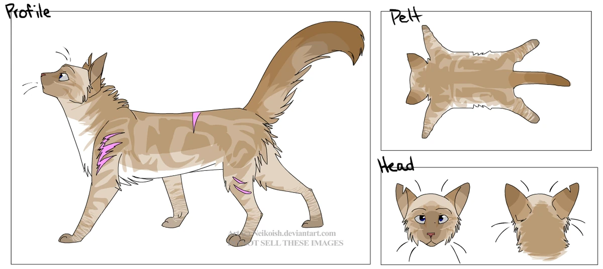 User blog:NauticalTwilight/cloudy | Animal Groups Roleplay Wiki | Fandom