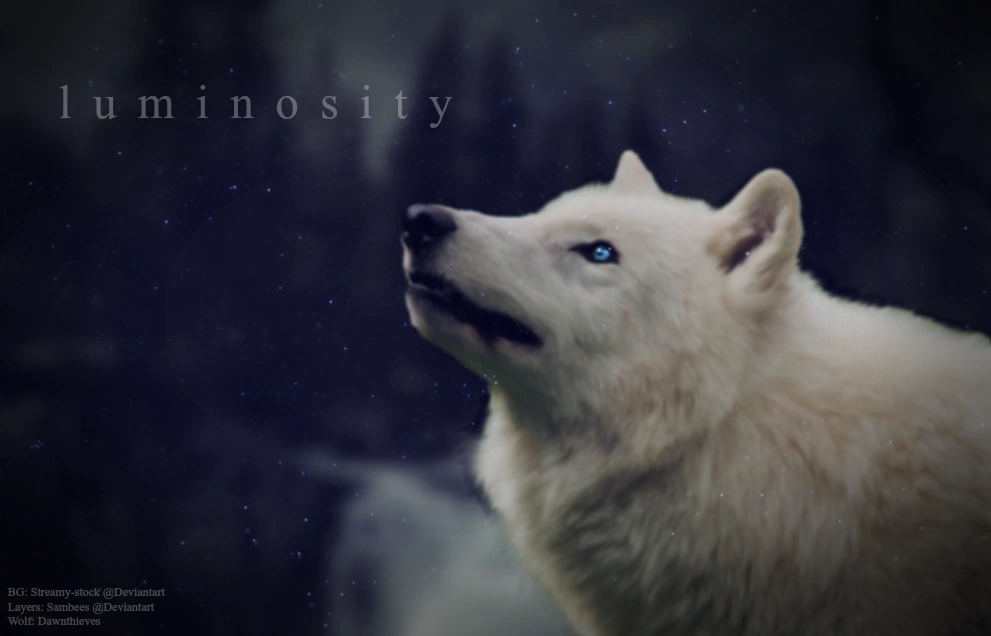 User blog:Whalien 52/Editing/Banner Requests | Animal Groups Roleplay ...