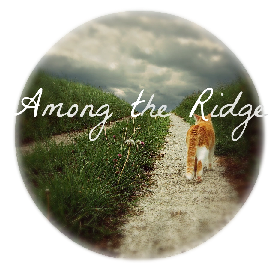 Among the Ridge | Animal Groups Roleplay Stories Wiki | Fandom