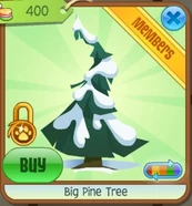 Big Pine Tree | Animal Jam Collectors Item Worth Wiki | Fandom