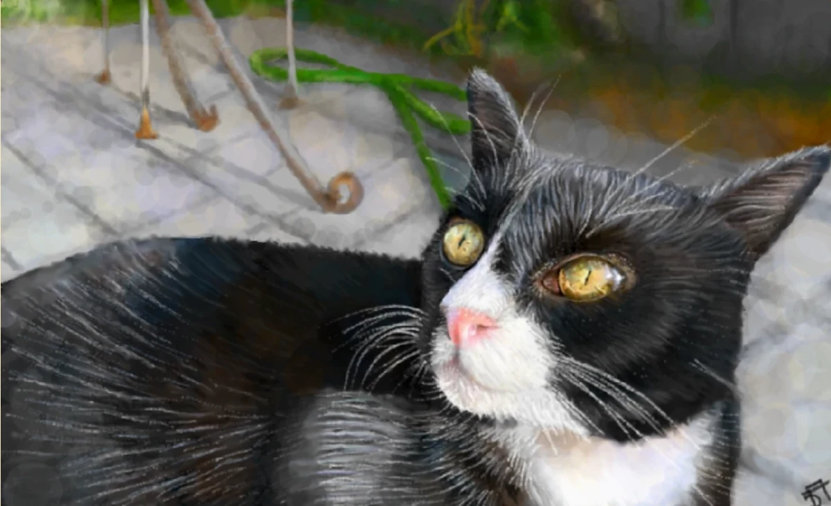 AJ Masterpieces | Animal Jam Creative Wiki | Fandom