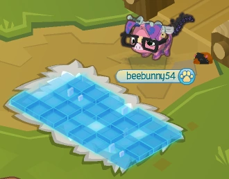 User blog:Beebunny54/Double Item Contest | Animal Jam Extras Wikia | Fandom