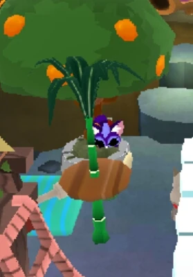 Pet Eyes Glitch | Animal Jam Play Wild Glitches Wiki | Fandom