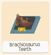 Unknown Fossil | Animal Jam Play Wild Sapphire Worth Wiki | Fandom