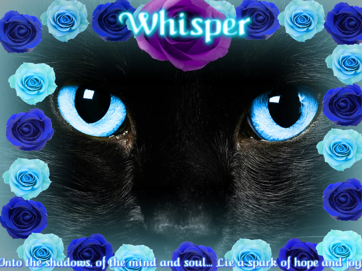 The little Meifwa Whisper | Animal Jam Roleplay Wikia | Fandom