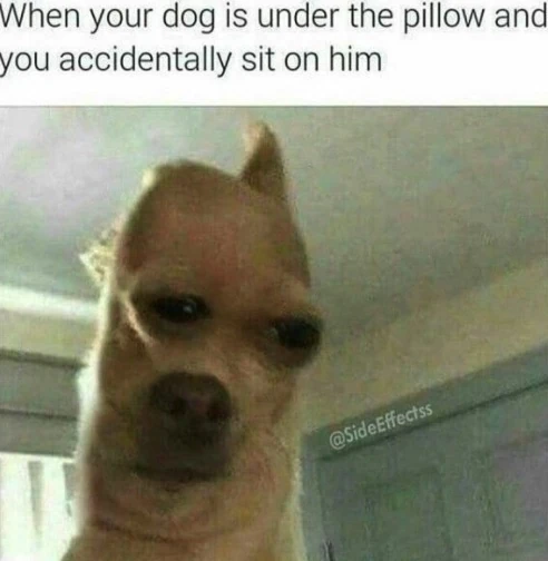 Twinkle0122 | Animal Jam Youtubers Wikia | Fandom