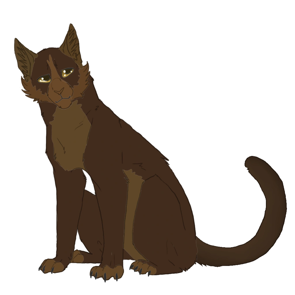 Duskpaw | Warrior Cat Roleplay Wiki | Fandom