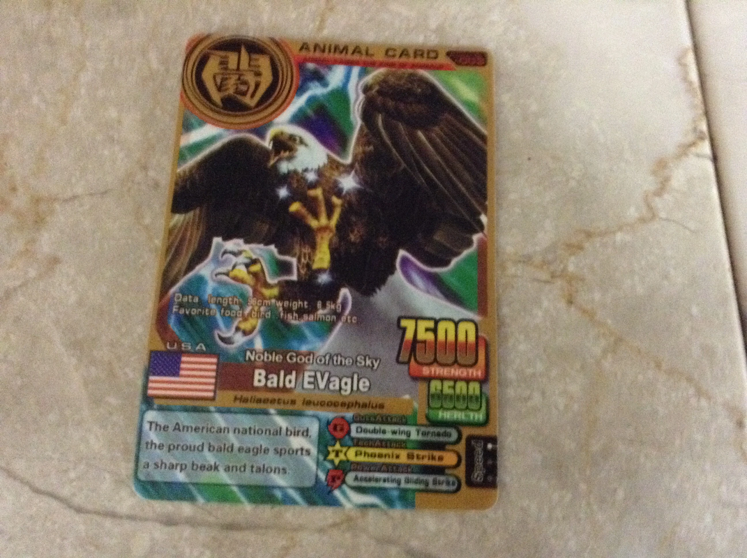 Bald Eagle | Animal Kaiser ( AK ) Wiki | Fandom