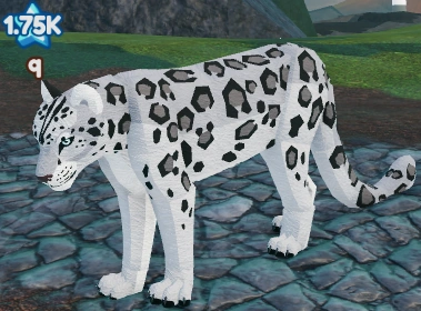 Snow Leopard | Animal Kingdom Roblox Wiki | Fandom