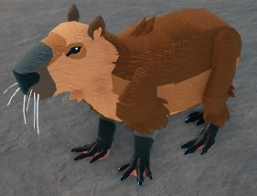 Capybara | Animal Kingdom Roblox Wiki | Fandom