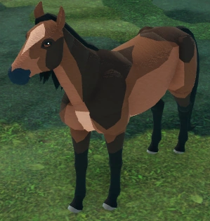 Horse | Animal Kingdom Roblox Wiki | Fandom