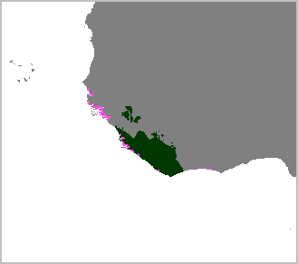 Cercopithecus diana | Animal Library Wikia | Fandom