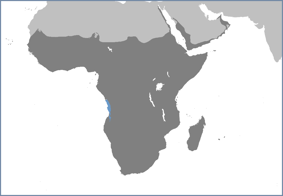 Category:AT1002 | Animal Library Wikia | Fandom