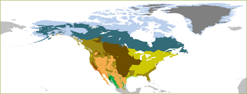 Category:Nearctic regions | Animal Library Wikia | Fandom