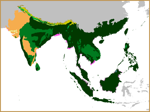 Category:Indomalaya regions | Animal Library Wikia | Fandom