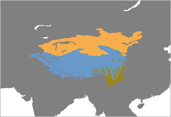 Procapra picticaudata | Animal Library Wikia | Fandom