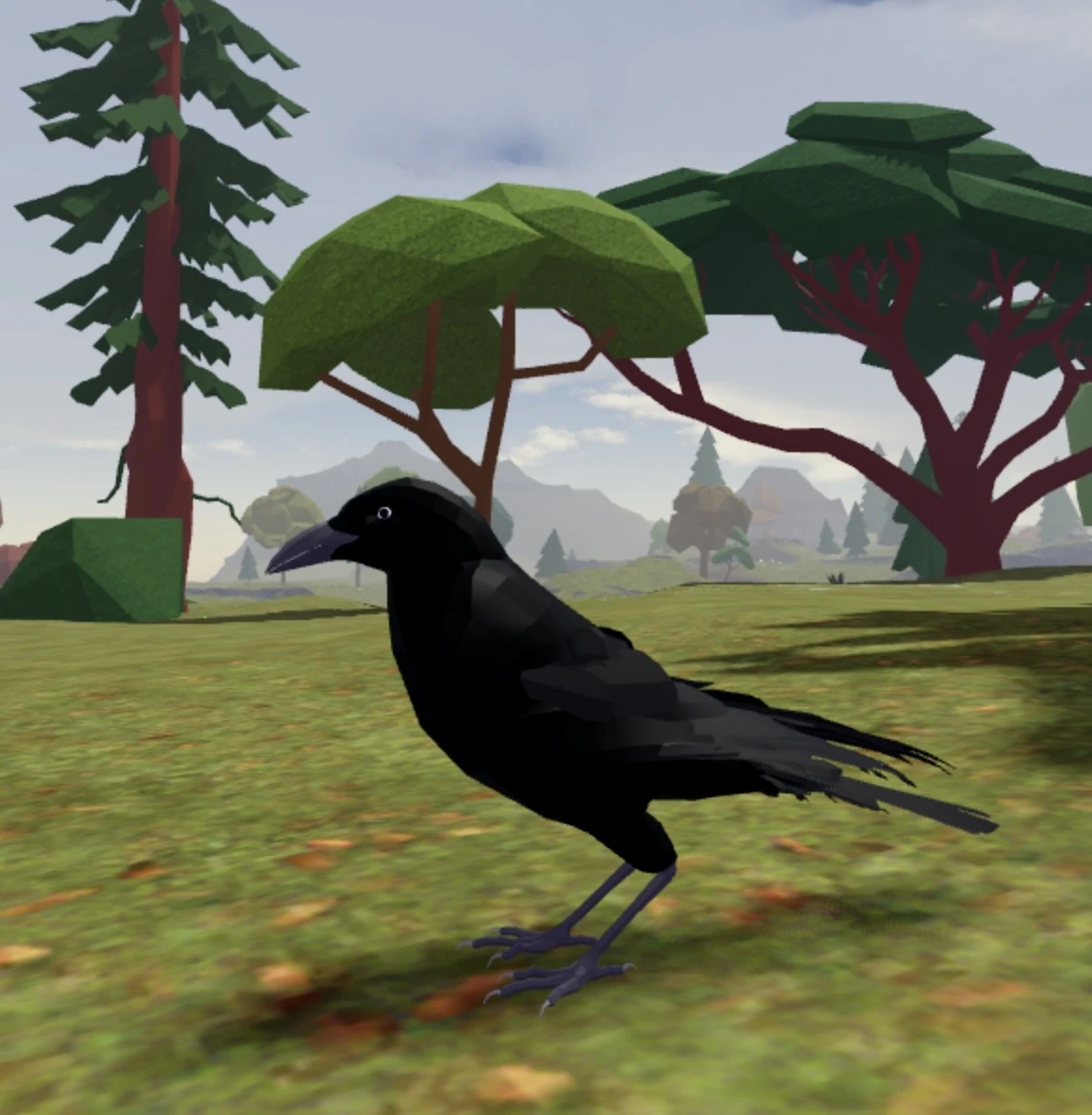 Raven | Animal Life; Forest RP Wiki | Fandom