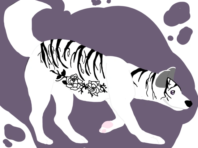 Quira | Animal OCs Wiki | Fandom