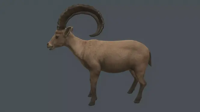 Ibex | Animal Revolt Battle Simulator Wiki | Fandom