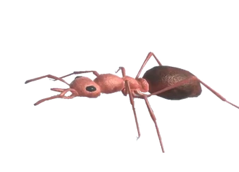 Great Bulldog Ant | Animal Revolt Battle Simulator Wiki | Fandom