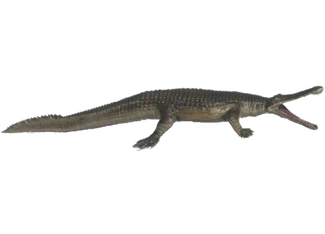 Machimosaurus Rex | Animal Revolt Battle Simulator Wiki | Fandom