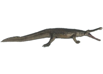 Machimosaurus Rex | Animal Revolt Battle Simulator Wiki | Fandom