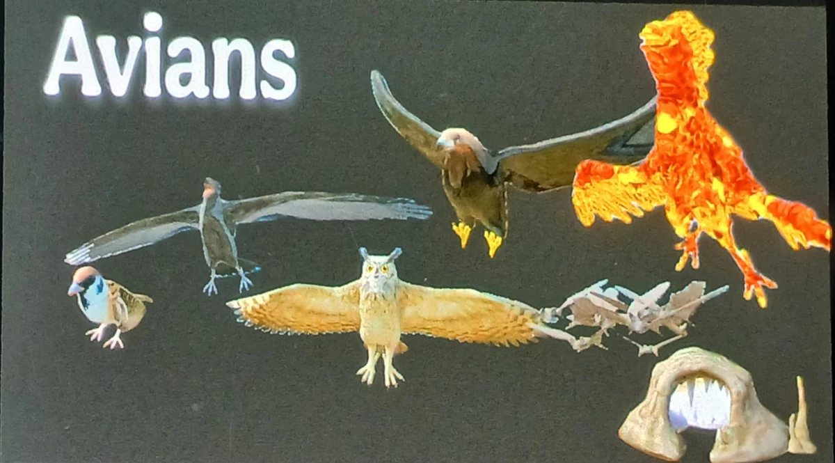Avians | Animal Revolt Battle Simulator Wiki | Fandom