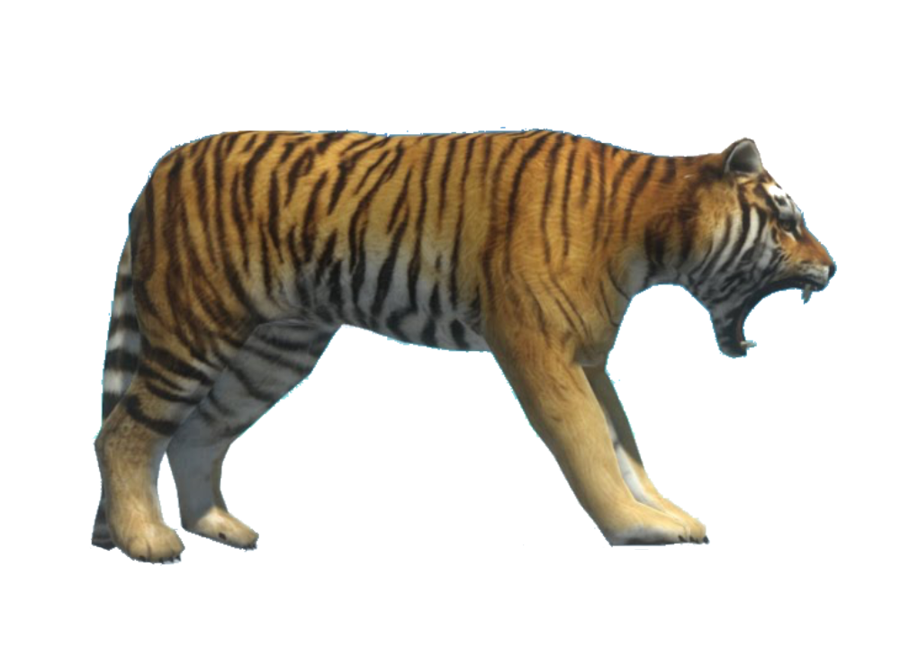 Tiger | Animal Revolt Battle Simulator Wiki | Fandom